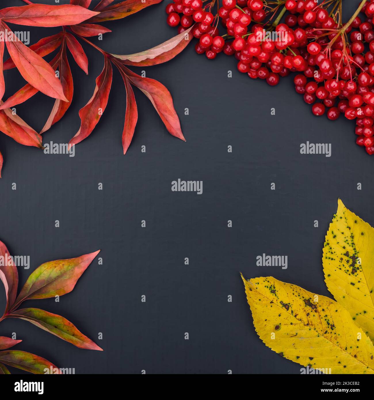 Autumn square frame, beautiful template, october still life, flat ...