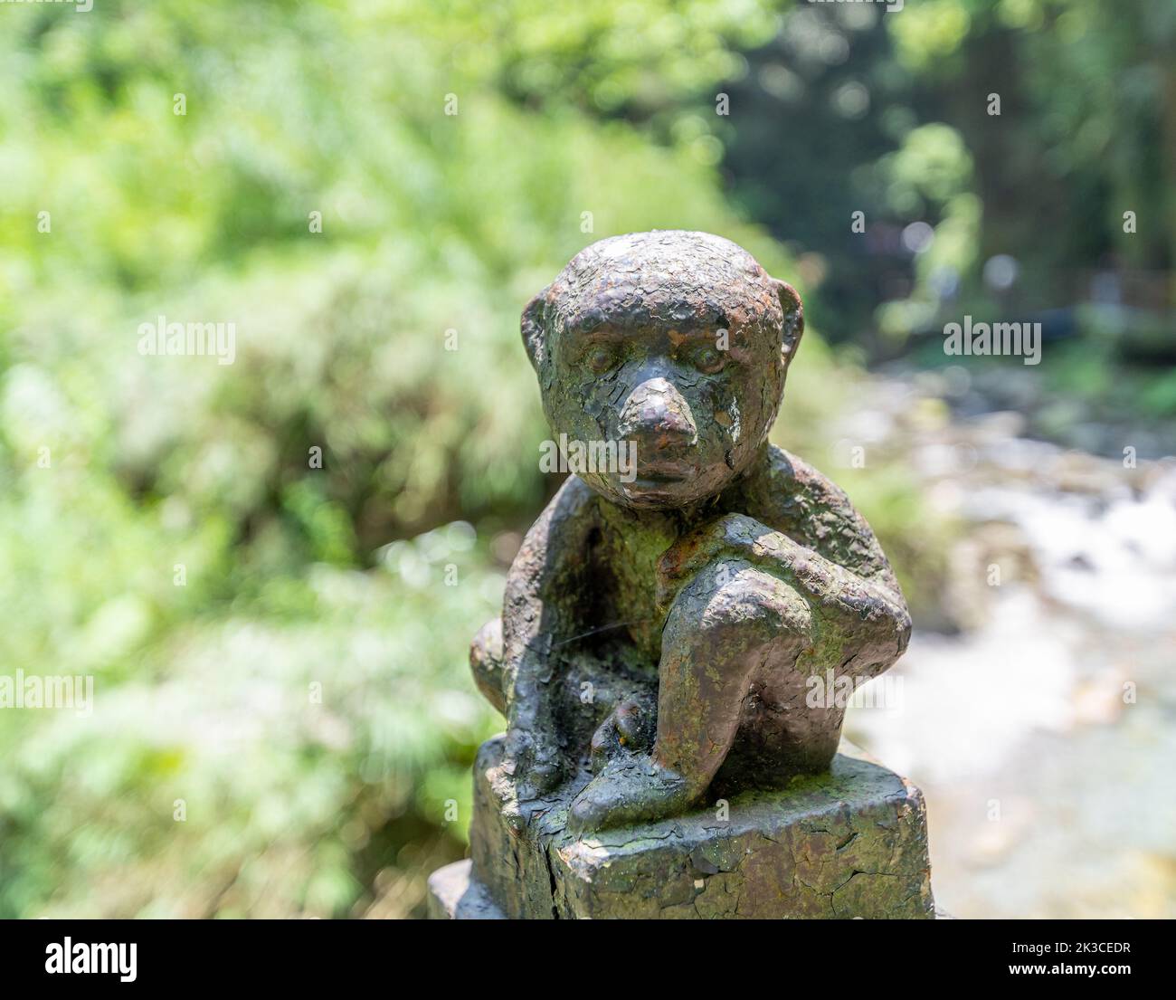 Monkey spirits hi-res stock photography and images - Alamy