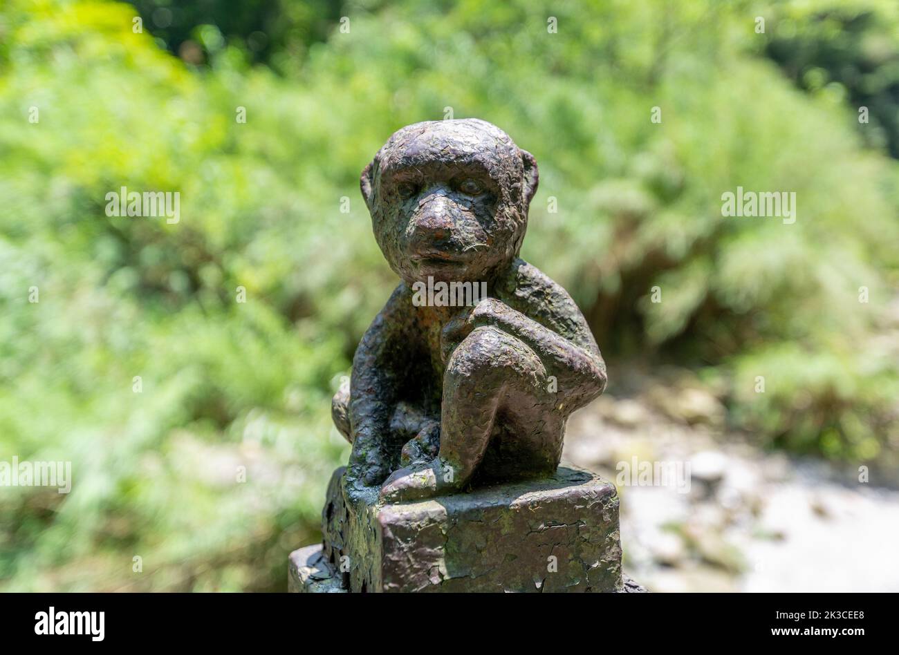 Monkey spirits hi-res stock photography and images - Alamy