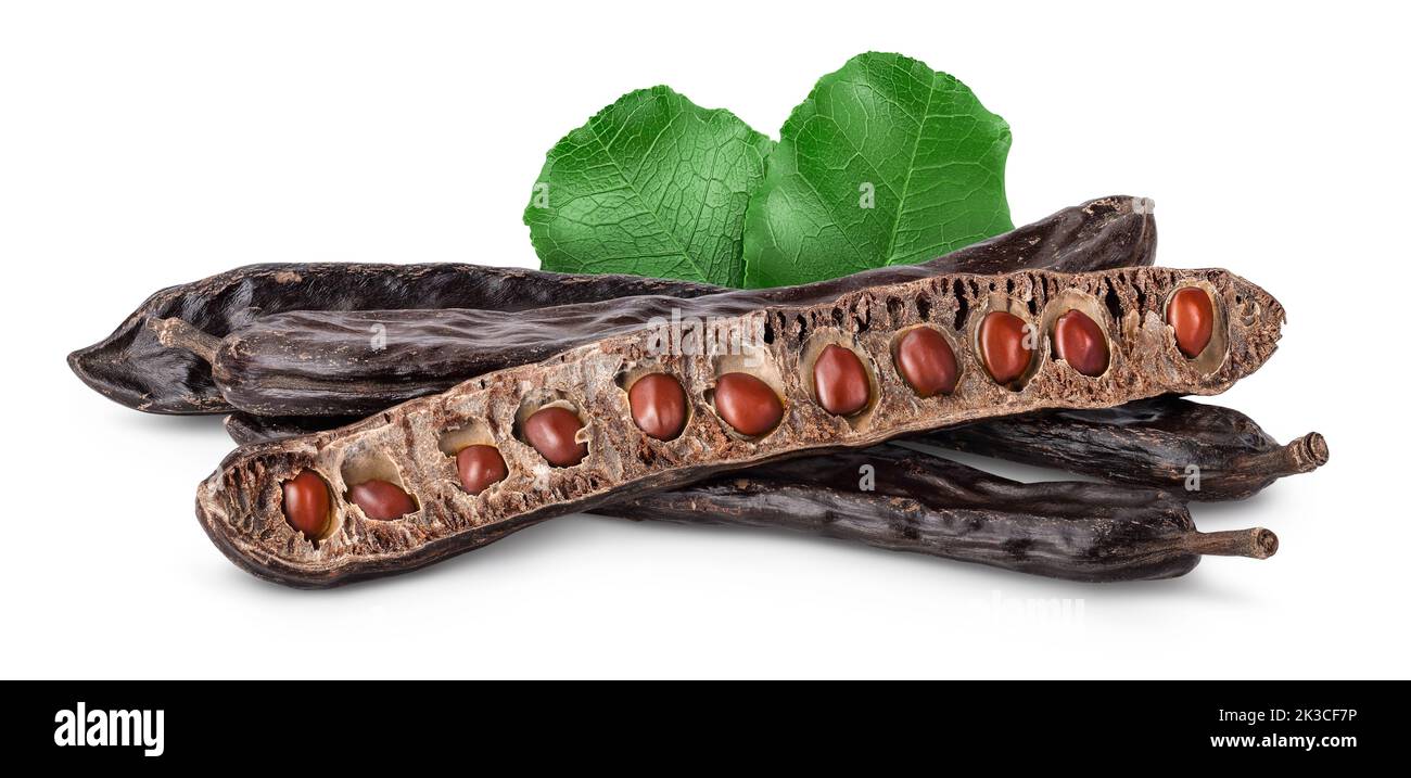 Ripe carob pods and bean isolated on white background with full depth ...