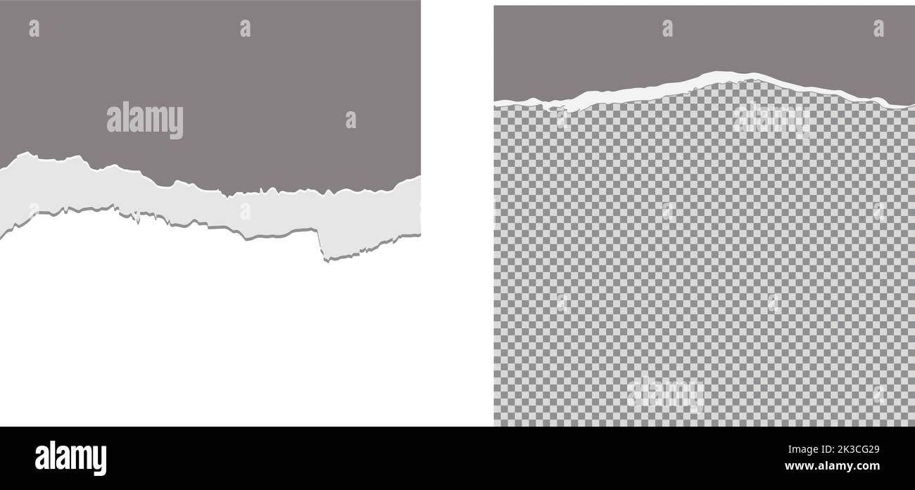 Tore off half a sheet of gray paper from the top. Vector paper design ...