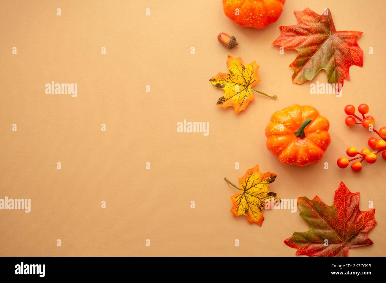 Autumn flat lay background with copy space at color paper Stock Photo ...