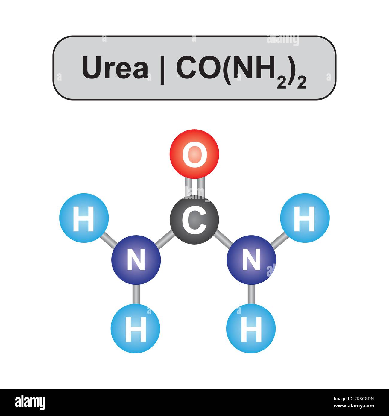 Co(nh2)2 Molecule