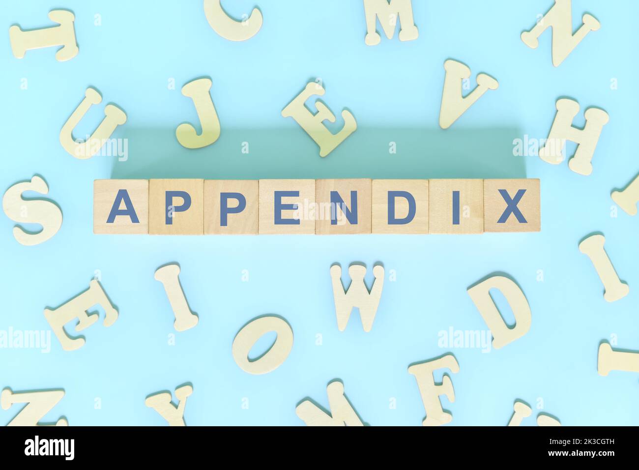 Appendix part of a book concept. Wooden blocks typography word flat lay ...