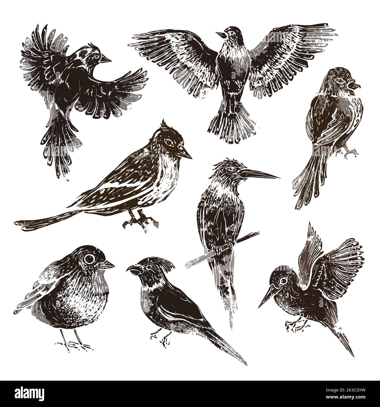 Large set of birds of different species in linocut retro style, vintage ...