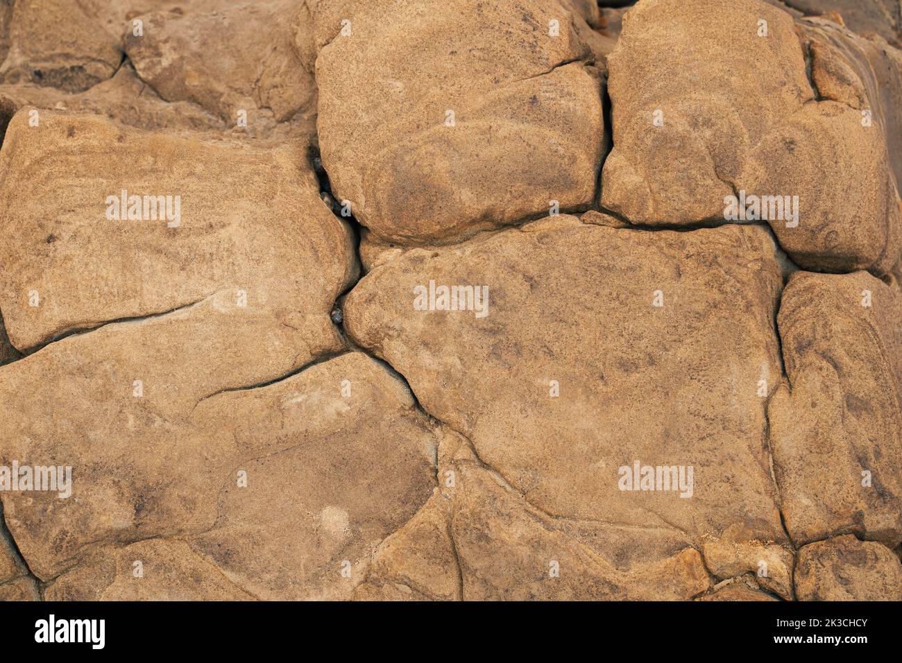 Point Lobos orange yellow soft rock stone texture with cracks. Natural ...
