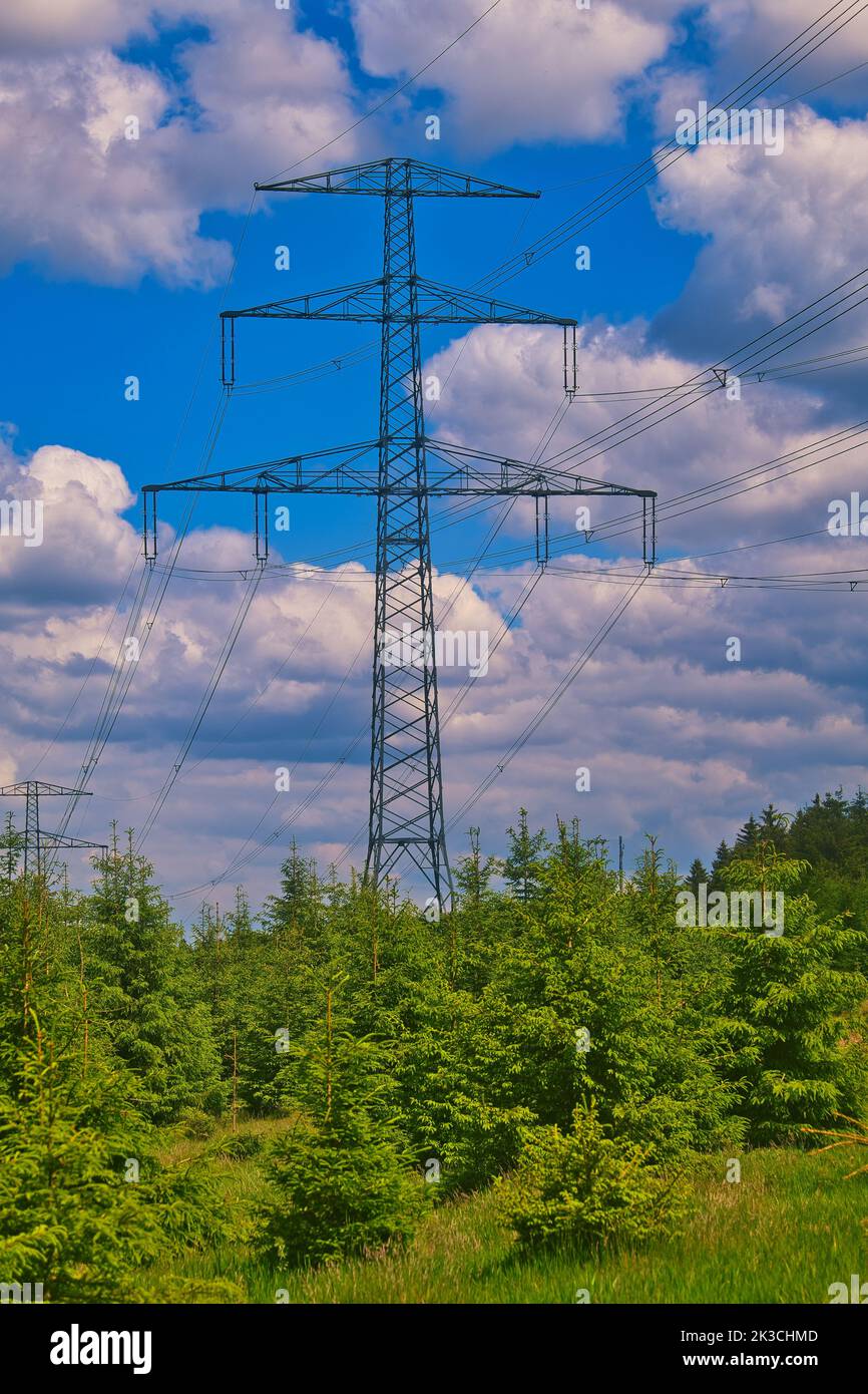 A vertical shot of a high-voltage direct current in the trees Stock ...