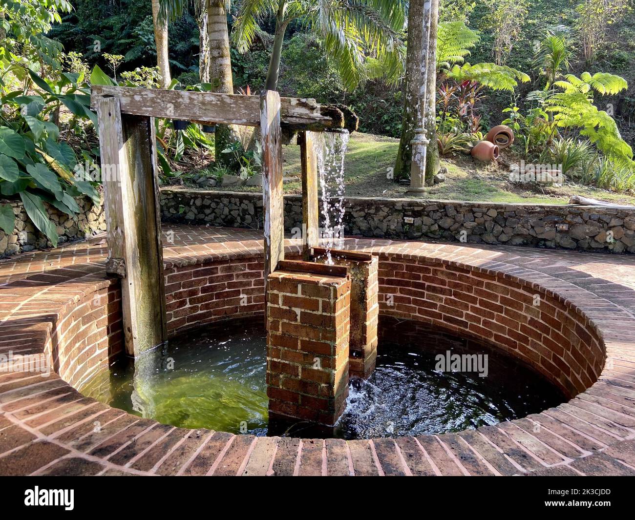 A small stone pond in the garden surrounded by green vegetation Stock ...