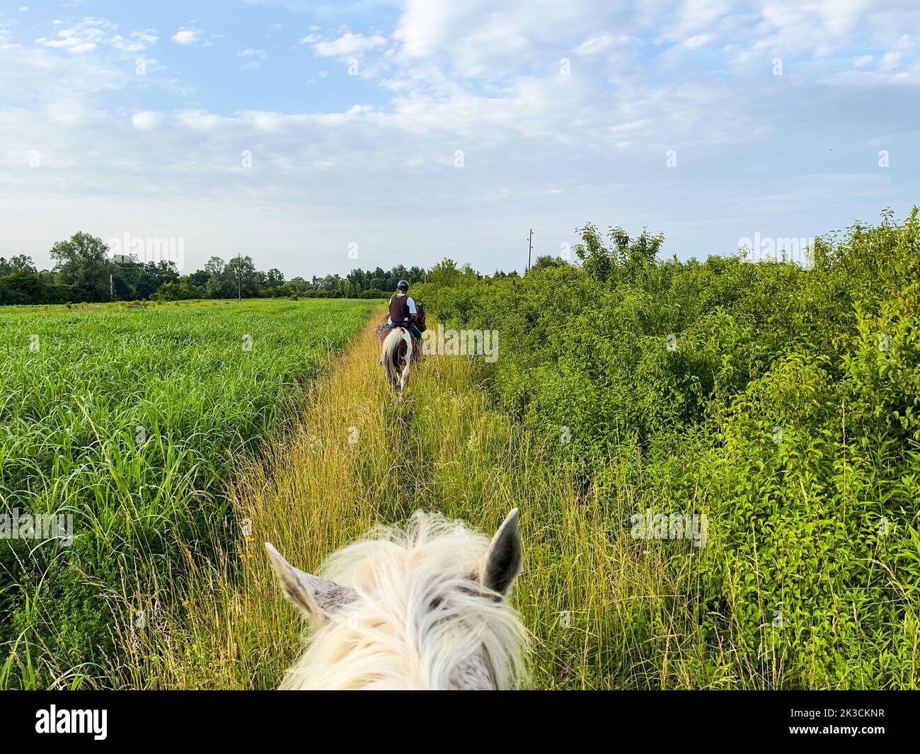 A view of people riding horses in a green field in the countryside ...