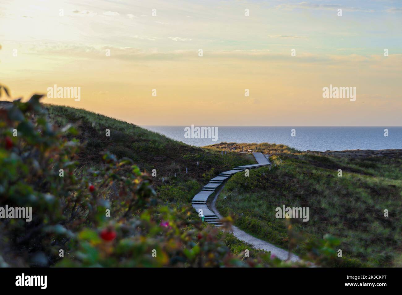 Beautiful landscapes of Sylt in Germany Stock Photo - Alamy