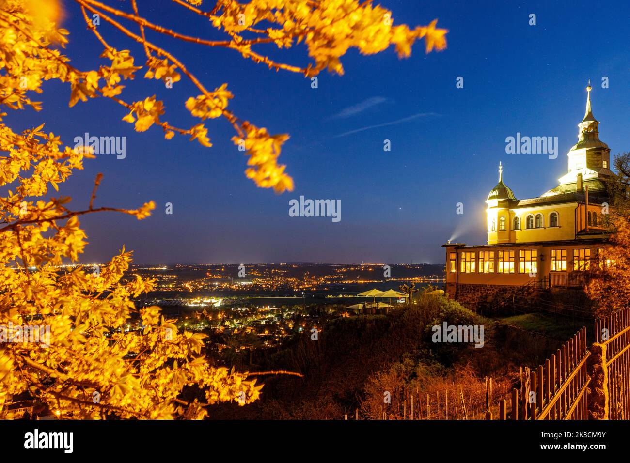 Vineyard radebeul hi-res stock photography and images - Alamy