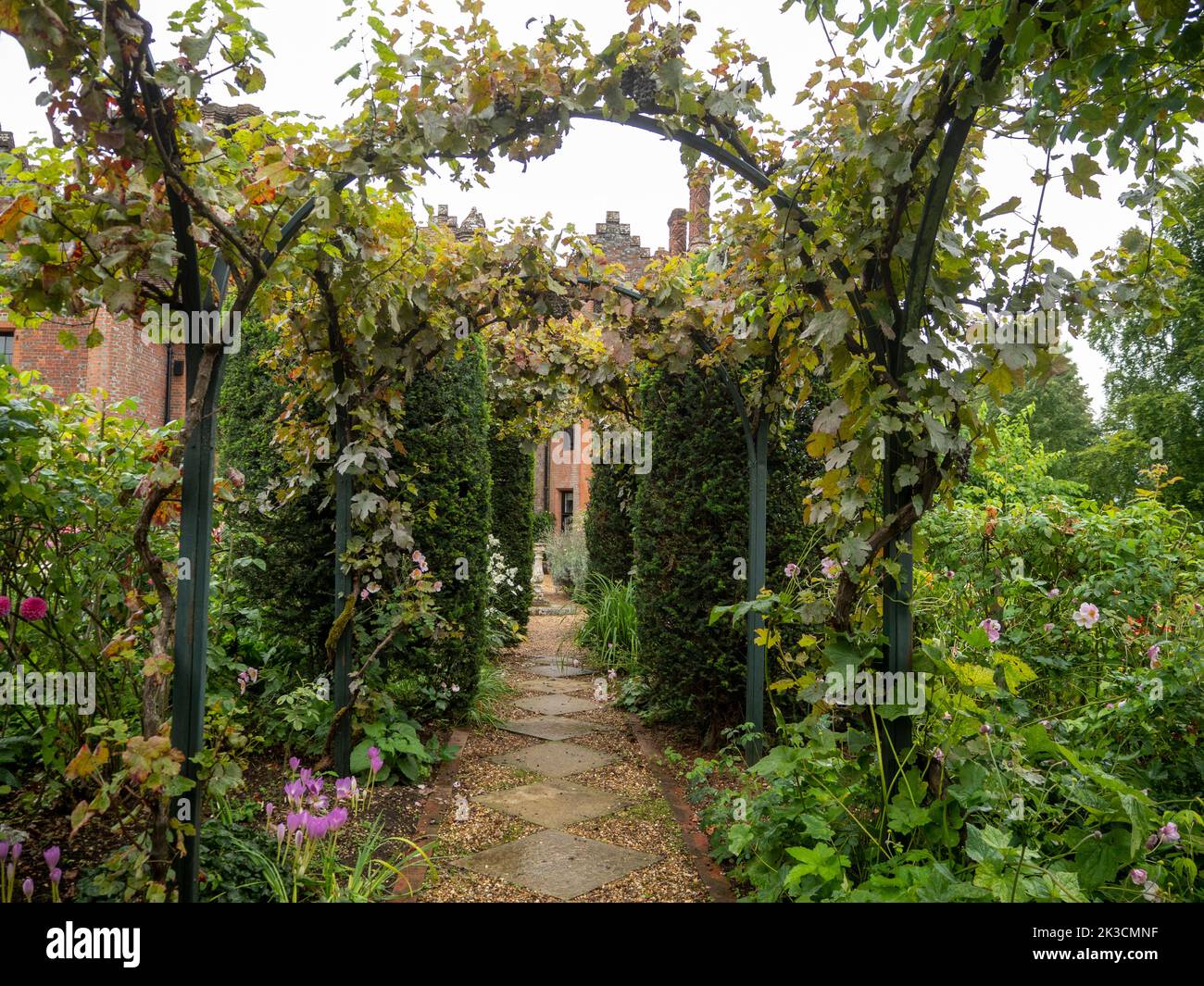 Paved path with shingle through the arches walk at Chenies Manor garden ...