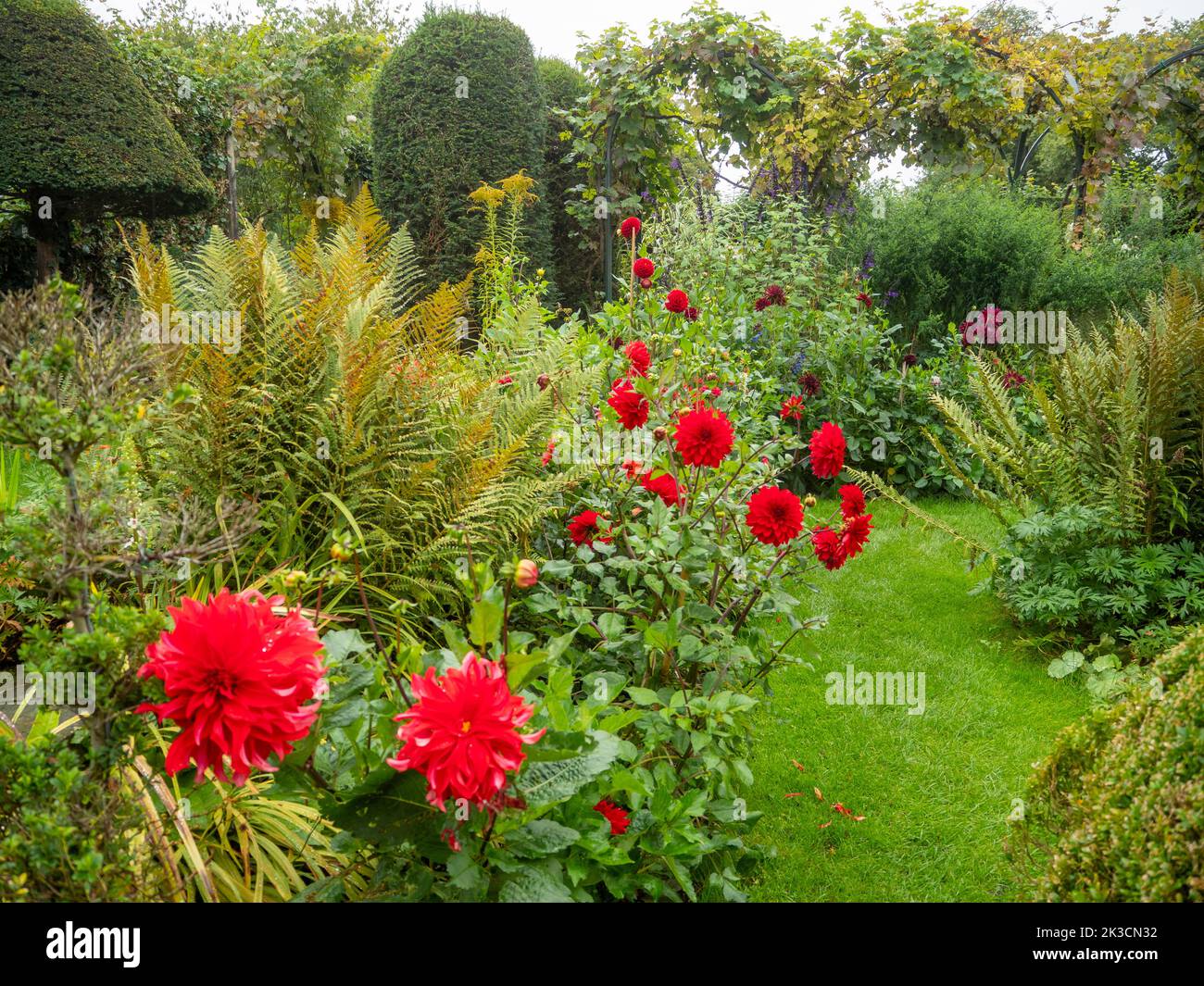 Chenies Mnor Sunken garden,with red dahlias, "Red Labyrinth" and "Happy ...