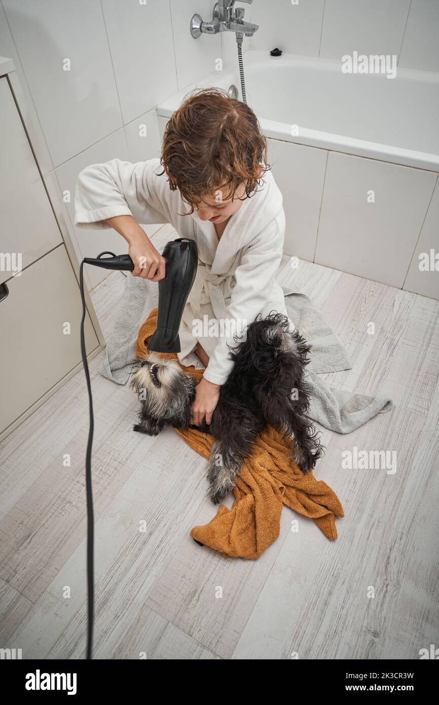 Boy washing dog hi-res stock photography and images - Alamy