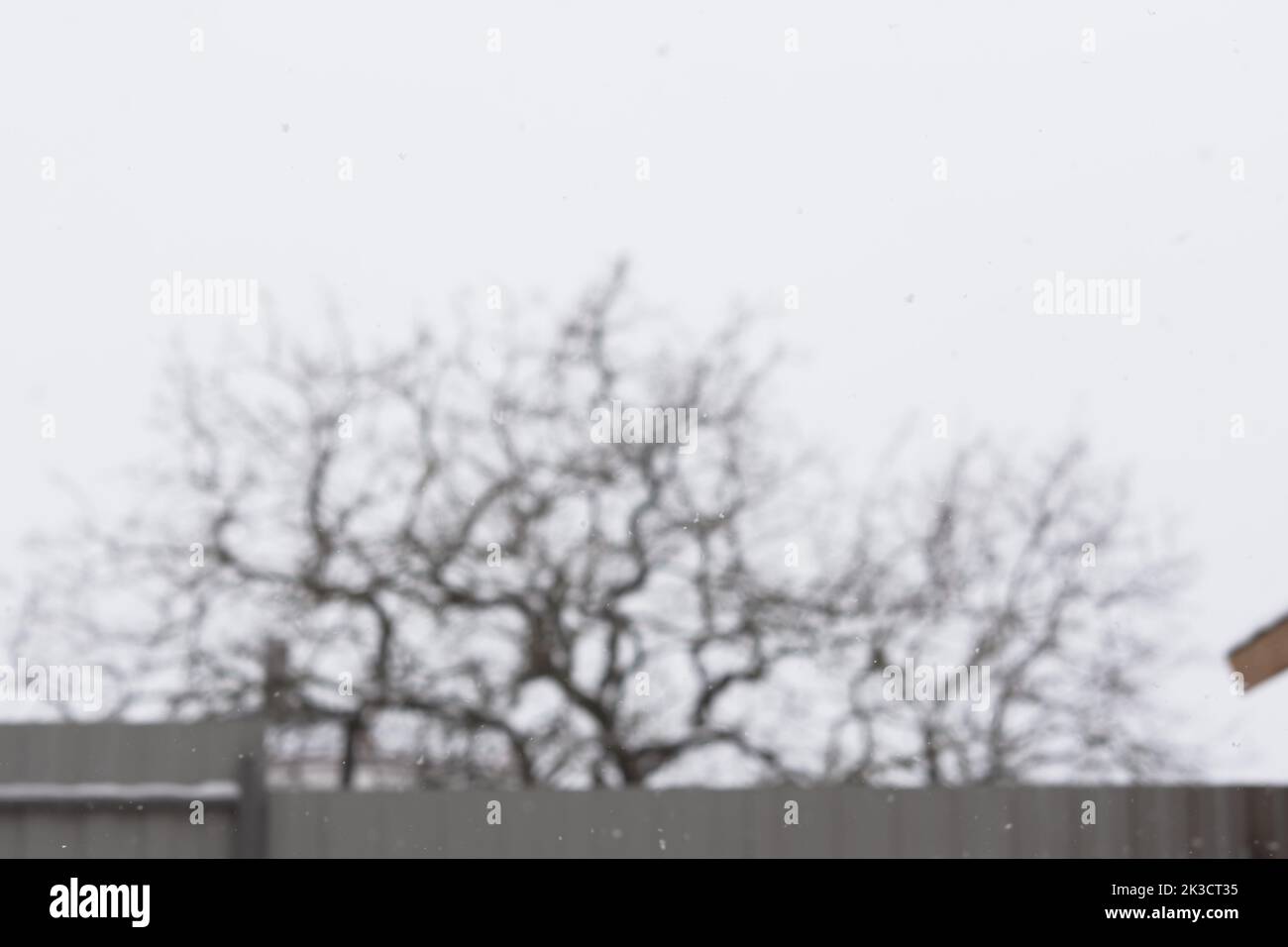 Blurry background of falling snow. The concept of changing weather ...