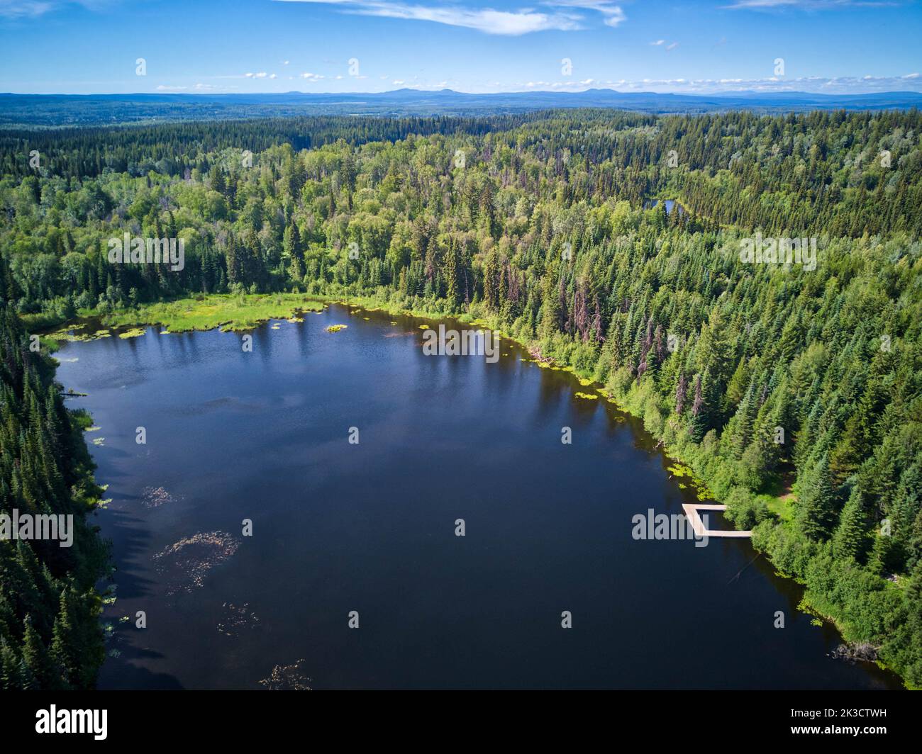The beautiful view of Shane Lake surrounded by green vegetation Stock ...