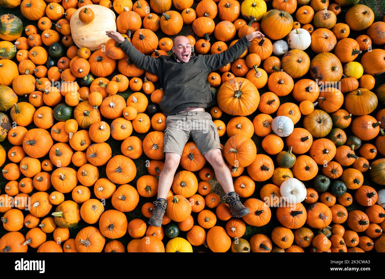 Farmer Tom Spilman with some of the 100,000 pumkins that have been ...