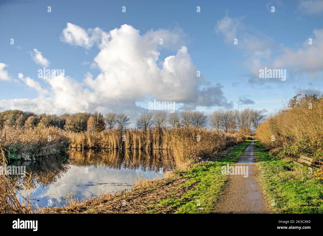 Landscape in the polder near Delft, The Netherlands with a footpath ...