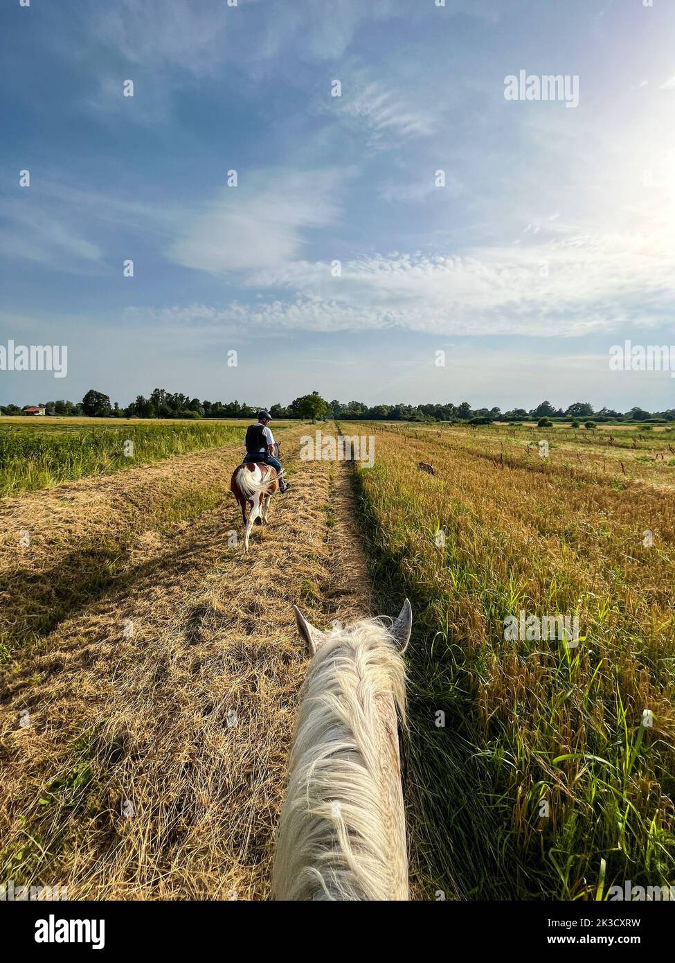 A vertical point-of-view shot of a person riding a horse on a trail ...