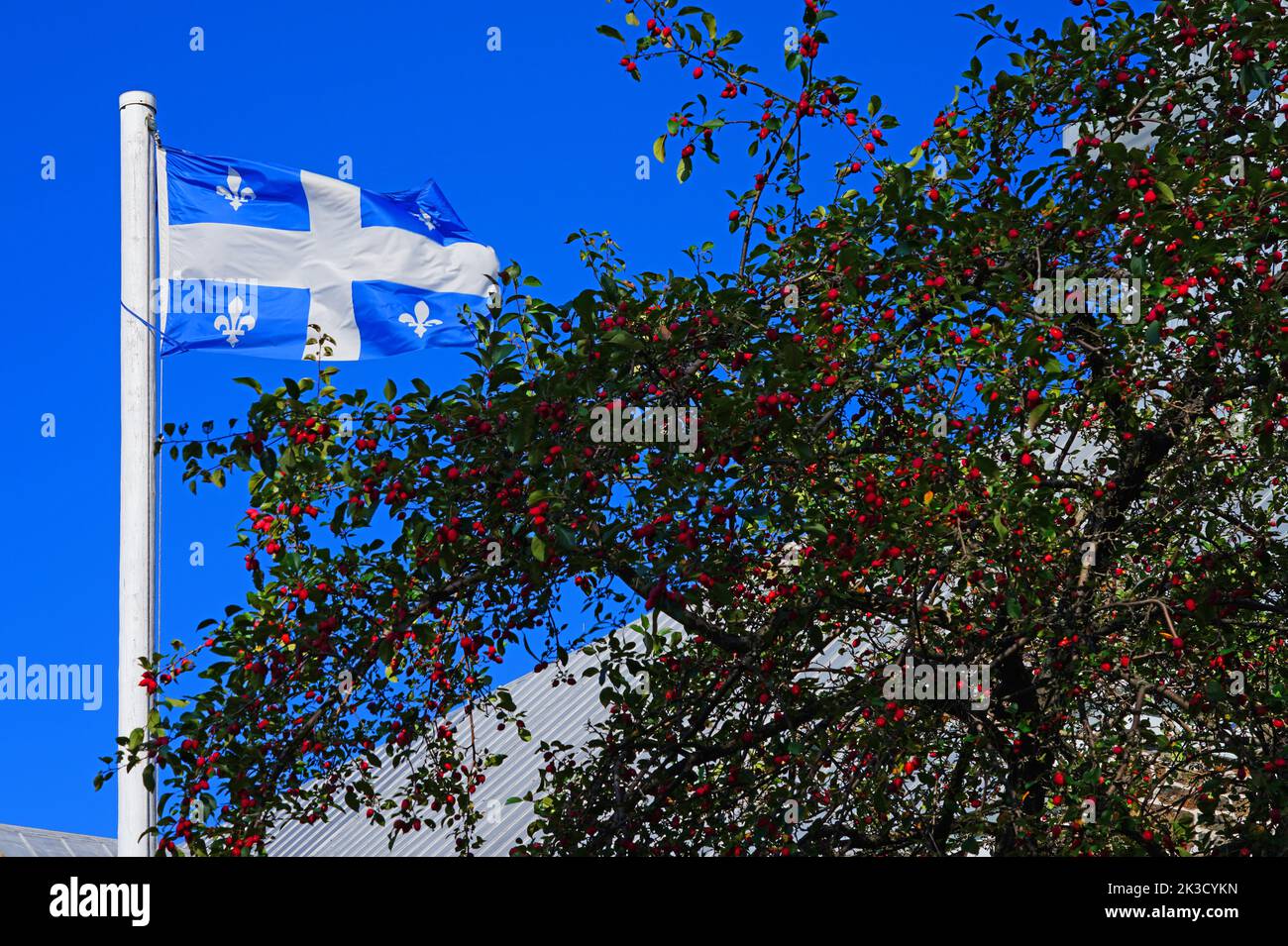 Quebec flag independence hi-res stock photography and images - Alamy