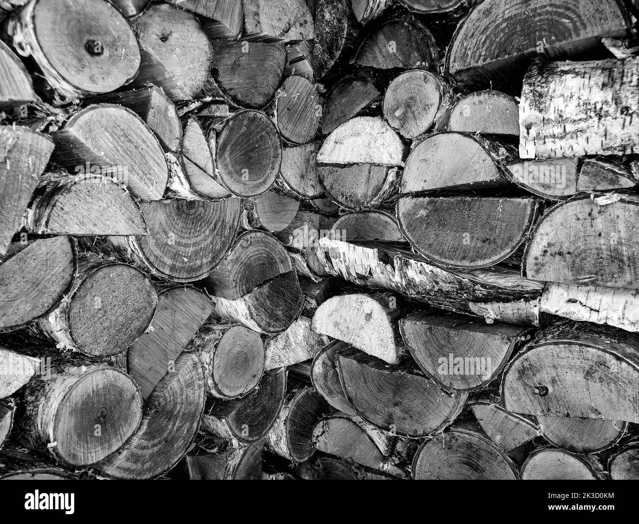 Birch wood, cut Black and White Stock Photos & Images - Alamy