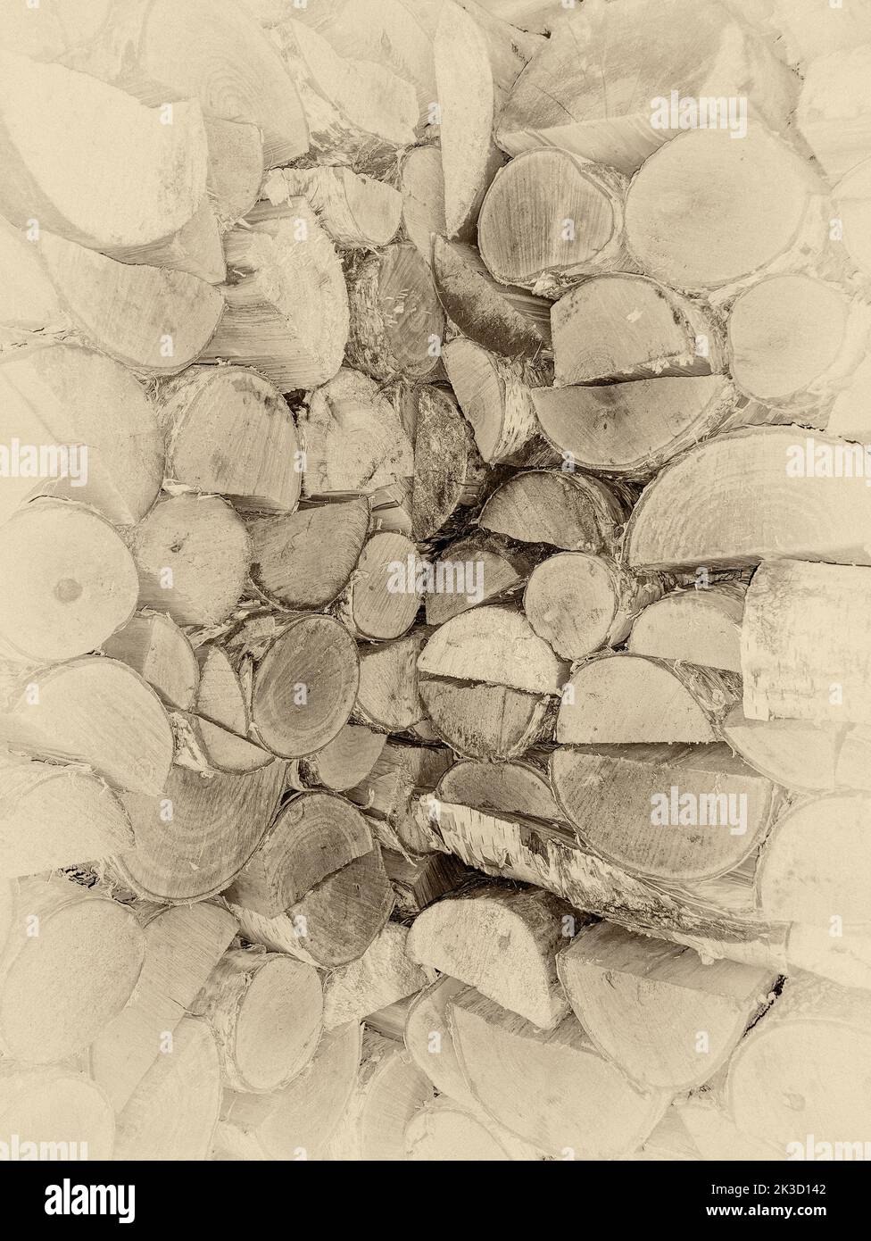 old vertical postcard - birch in pieces Stock Photo - Alamy