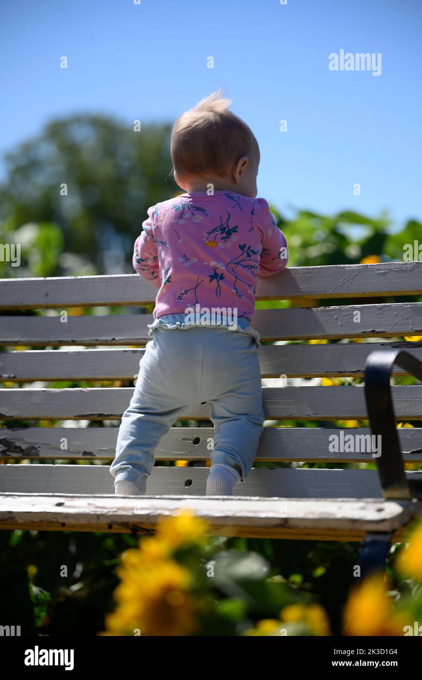 Kids park bench hi-res stock photography and images - Alamy