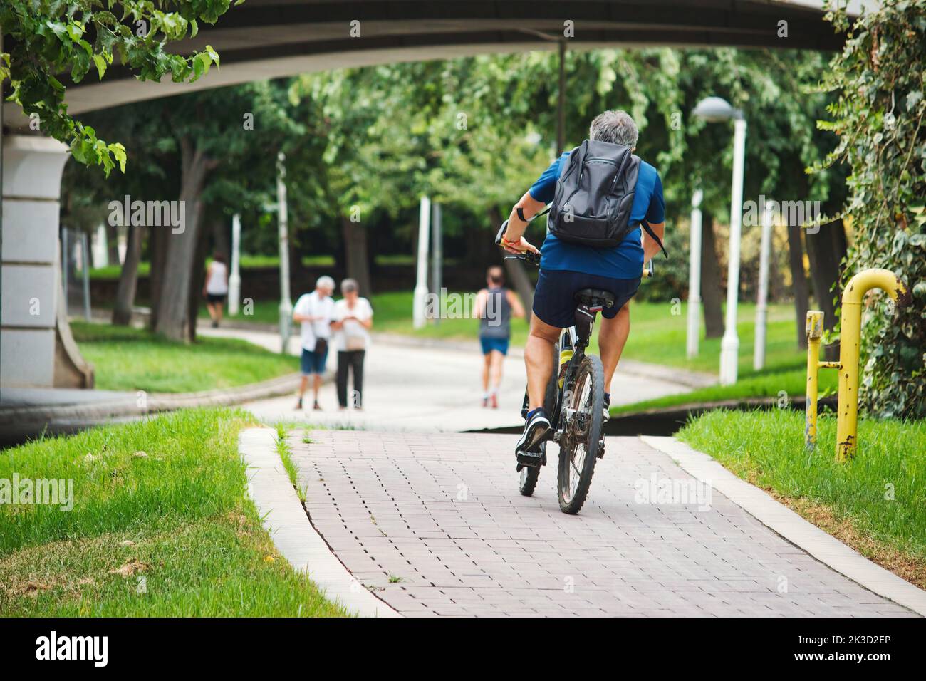 A cyclist riding a push bike in an urban public park on the cycle path ...