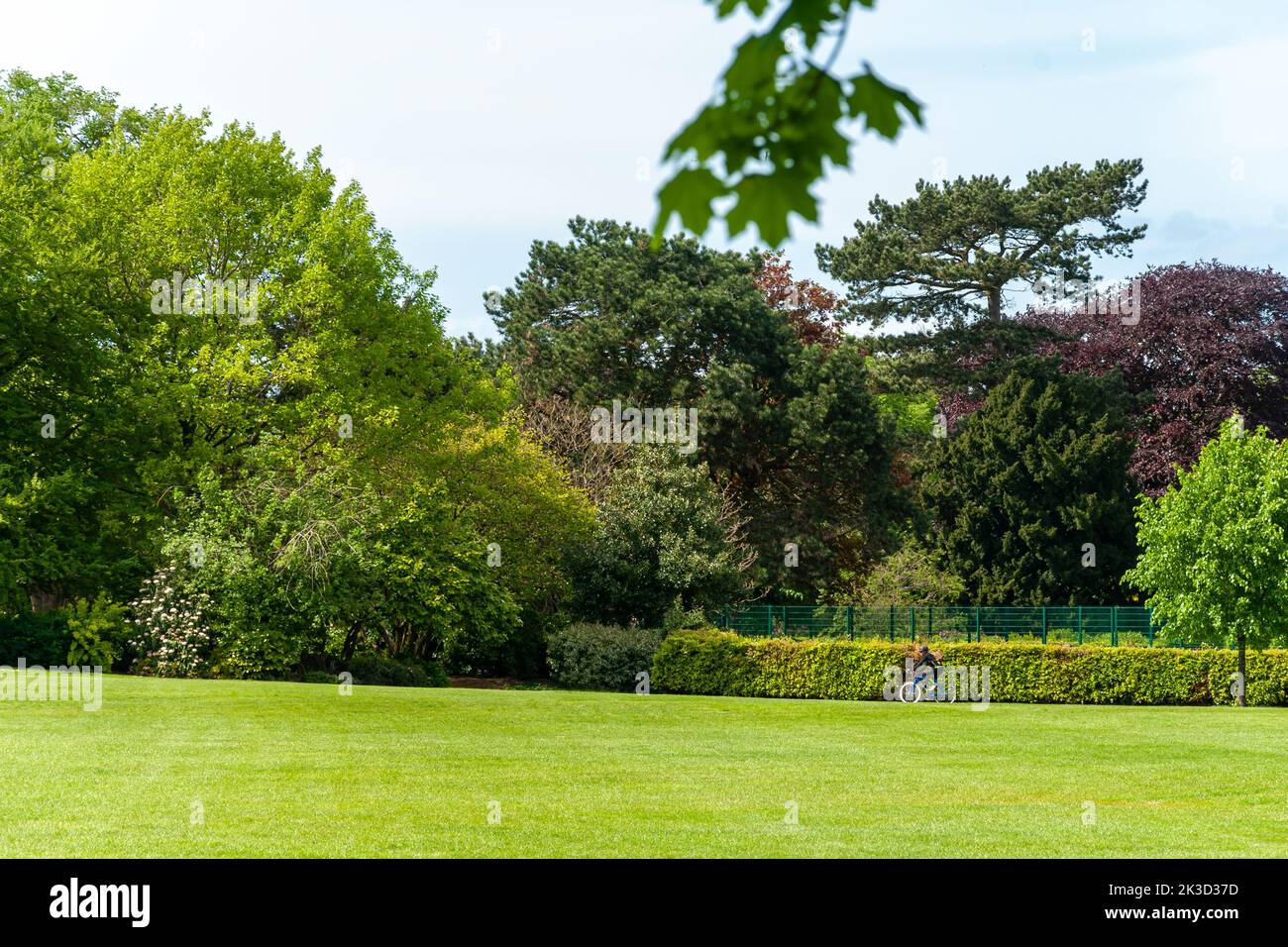 Beautiful landscape in a park in Wolverhampton Stock Photo - Alamy