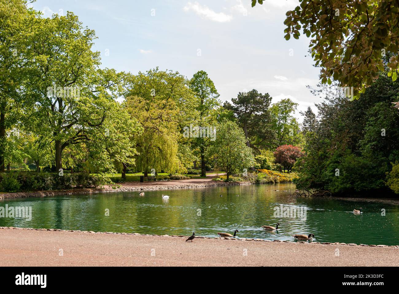 Beautiful landscape in a park in Wolverhampton Stock Photo - Alamy