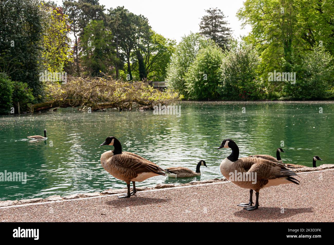 Beautiful landscape in a park in Wolverhampton Stock Photo - Alamy