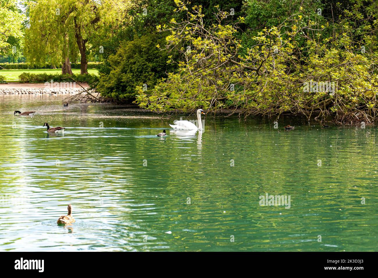 Beautiful landscape in a park in Wolverhampton Stock Photo - Alamy