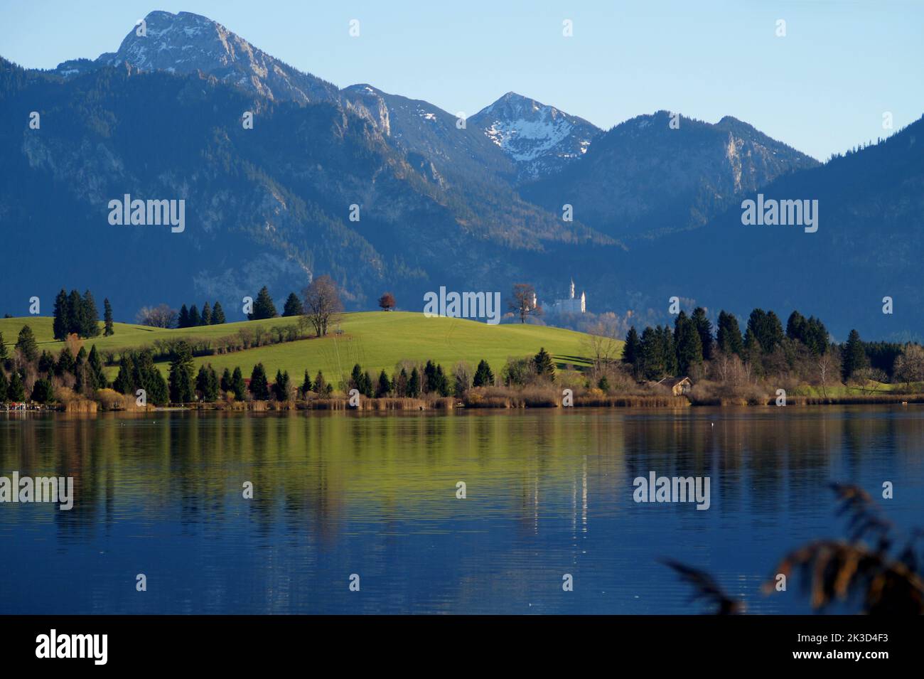 scenic view of lake Hopfensee and castle Neuschwanstein in the Bavarian ...