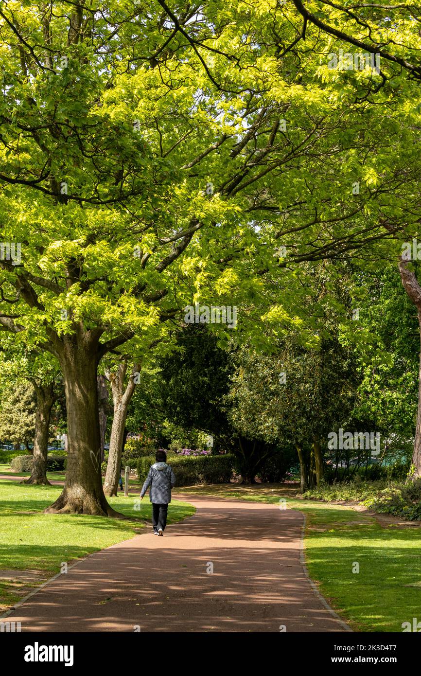 Beautiful landscape in a park in Wolverhampton Stock Photo - Alamy