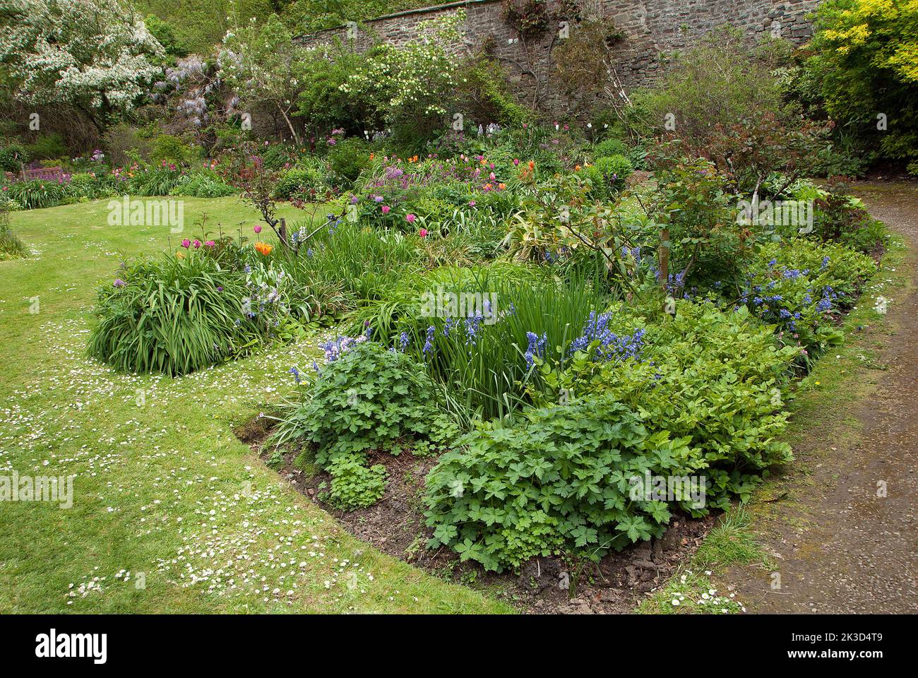 DEVON ; HARTLAND ABBEY WALLED GARDEN ; TRIANGULAR BED Stock Photo - Alamy