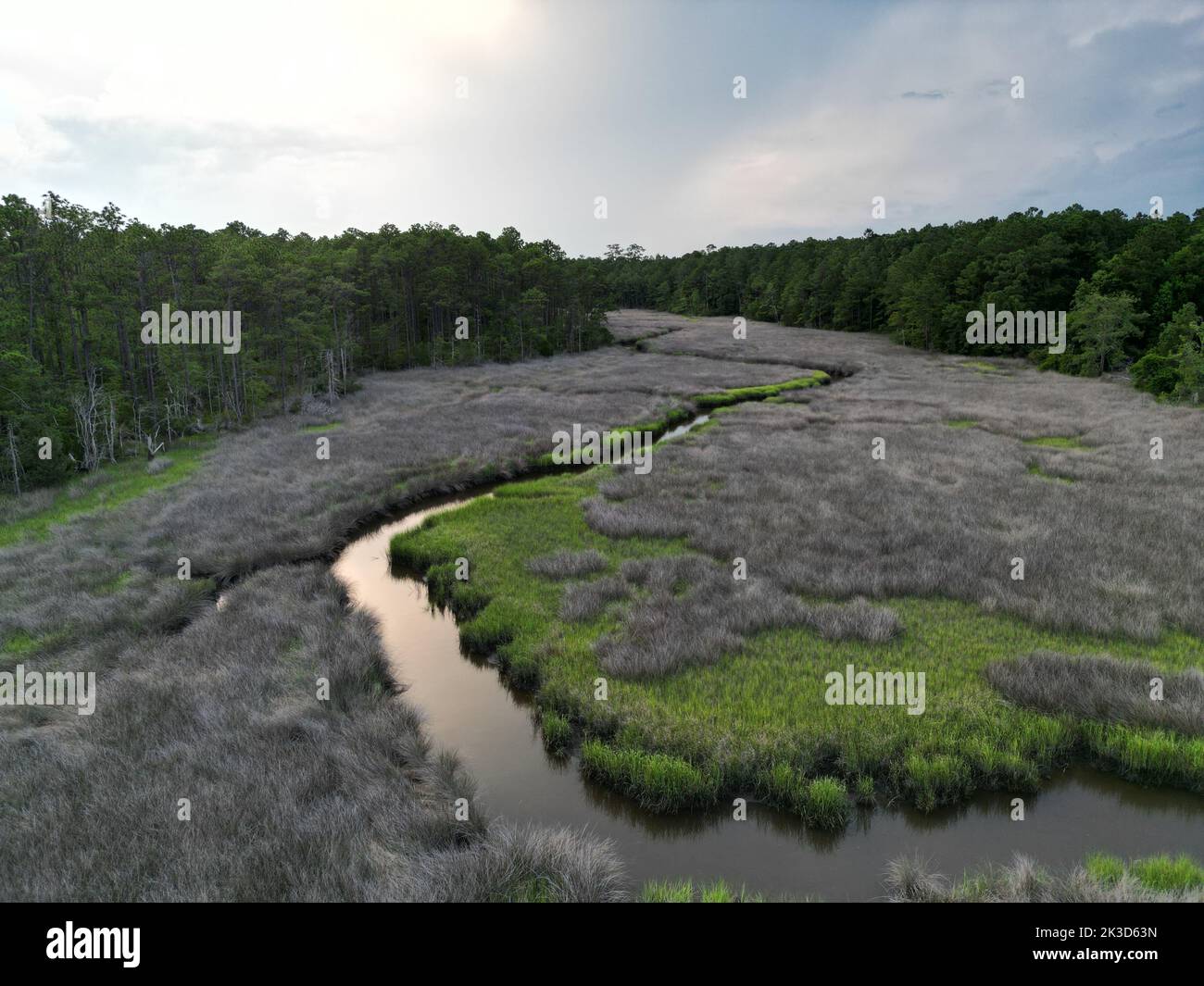 An aerial view of the Carolina Coast Marsh Stream wetlands Stock Photo ...