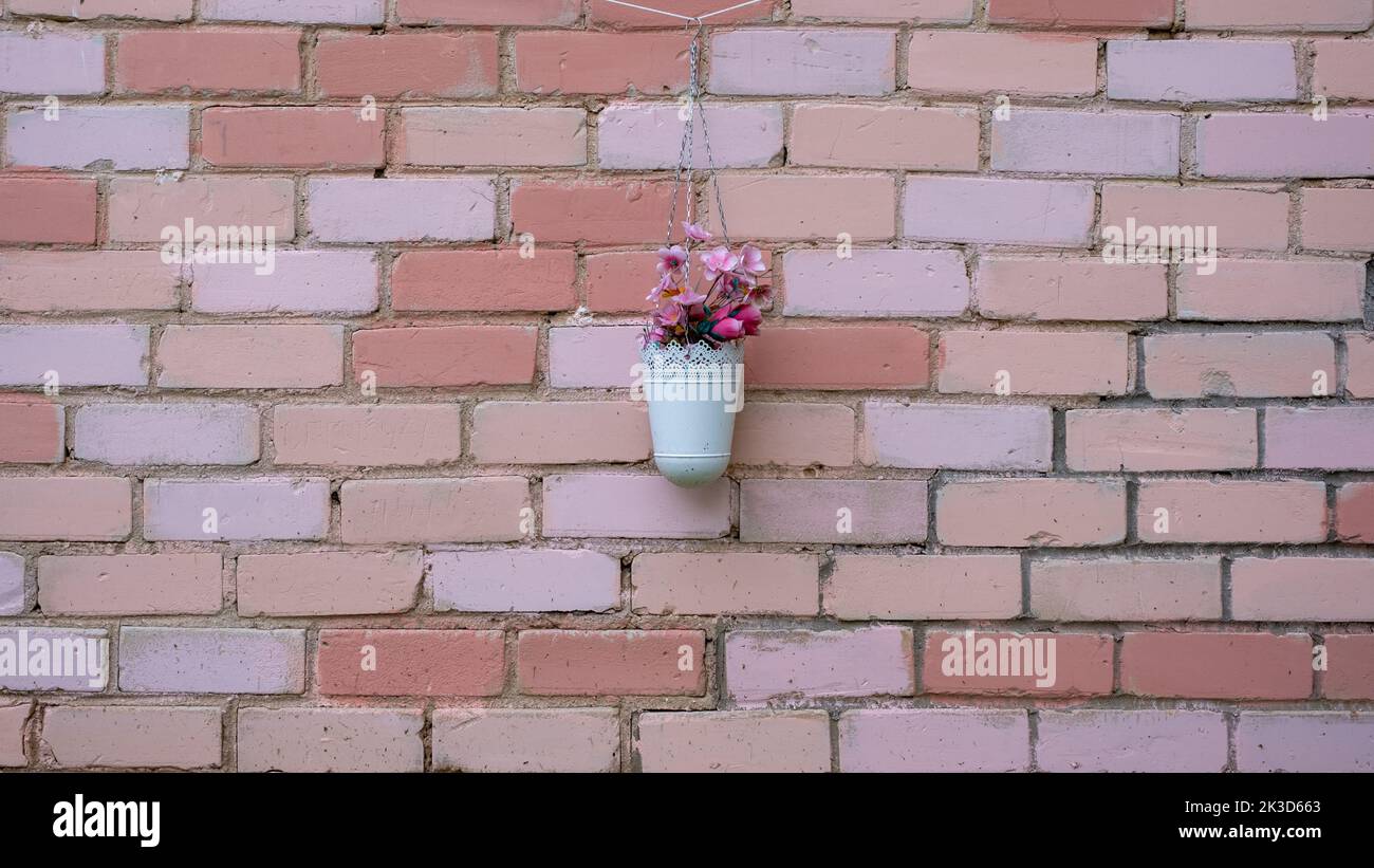 In natural light, a flower pot is hung on a painted brick wall Stock ...