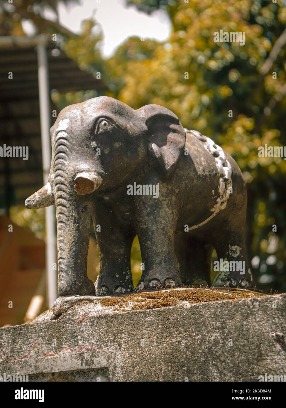Elephant gate design hi-res stock photography and images - Alamy