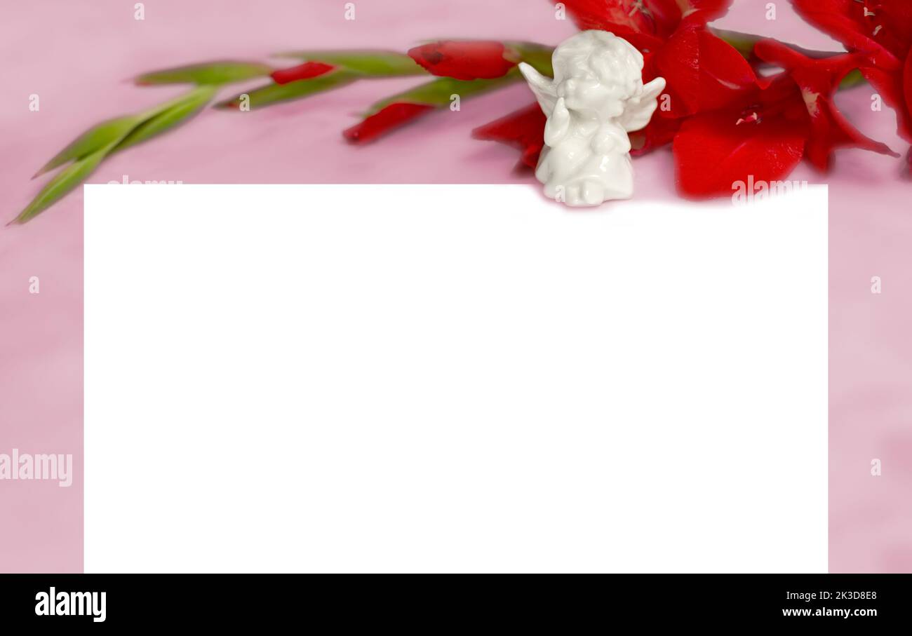 Cute angel with a red gladiolus on a pink marble background. The theme ...