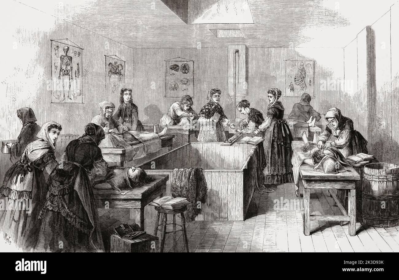 Female anatomy drawing hi-res stock photography and images - Alamy