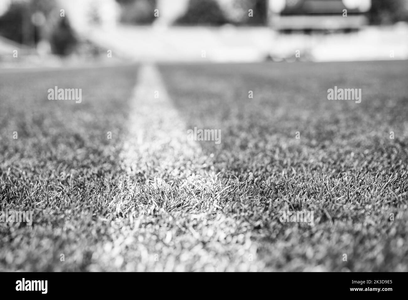 green grass on outdoor football field or stadium, selective focus ...