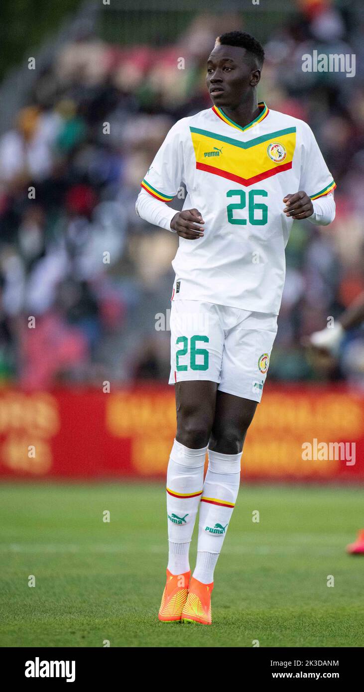 ORLEANS, FRANCE - SEPTEMBER 24: Pape Gueye of Senegal during the ... ORLEANS, FRANCE - SEPTEMBER 24: Pape Gueye of Senegal during the ...