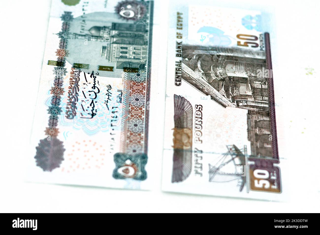 A closeup shot of the 50 LE fifty Egyptian money banknotes Stock Photo ...