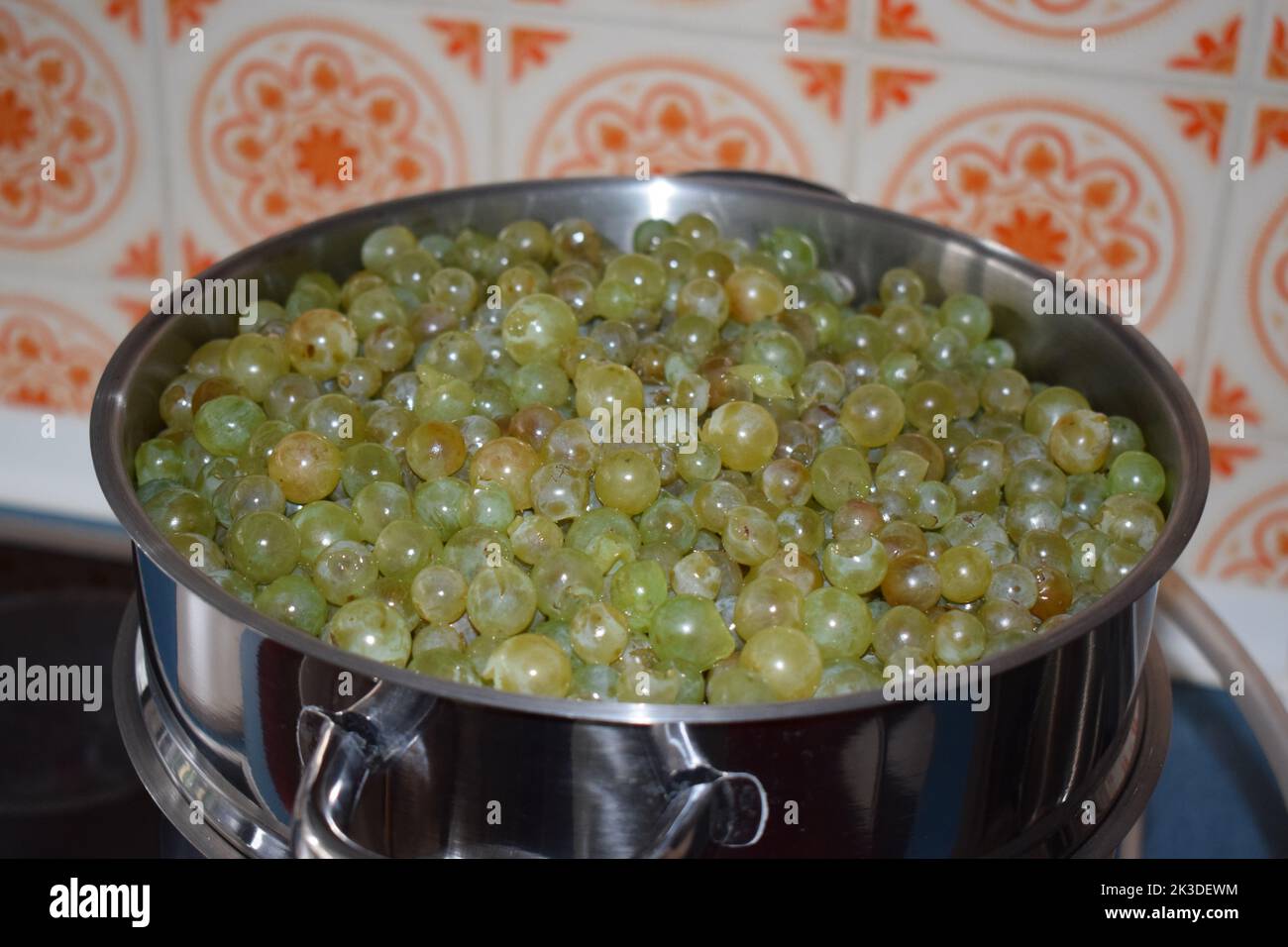 homemade white grape juice in progress Stock Photo - Alamy