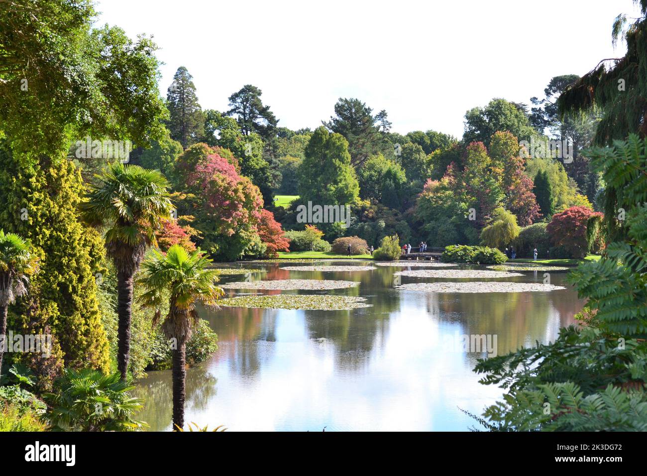 Sheffield park sussex lake hi-res stock photography and images - Alamy