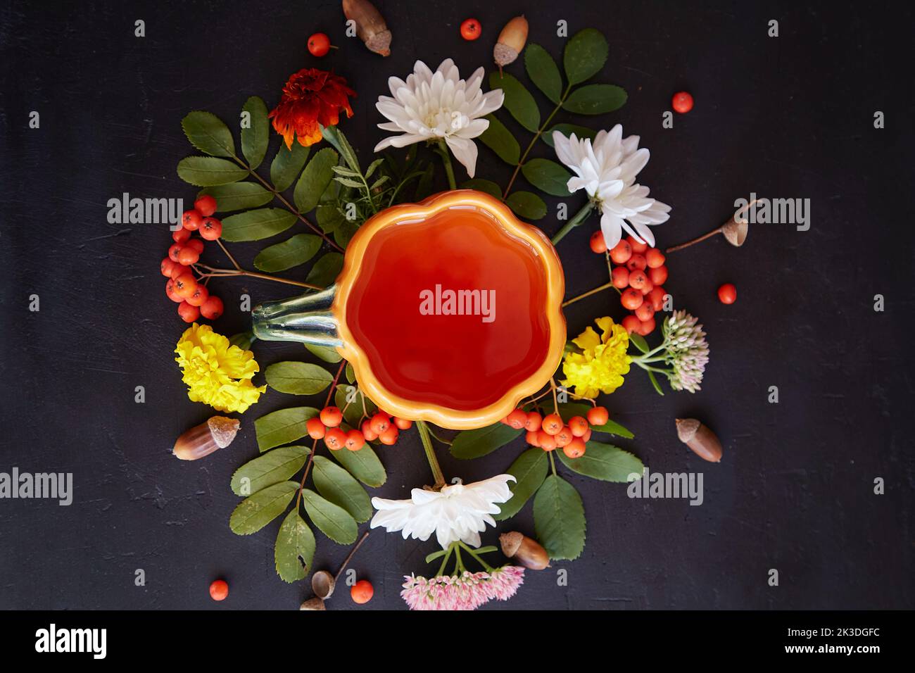 Creative cup of natural tea among rowan berries, acorns, marigold ...