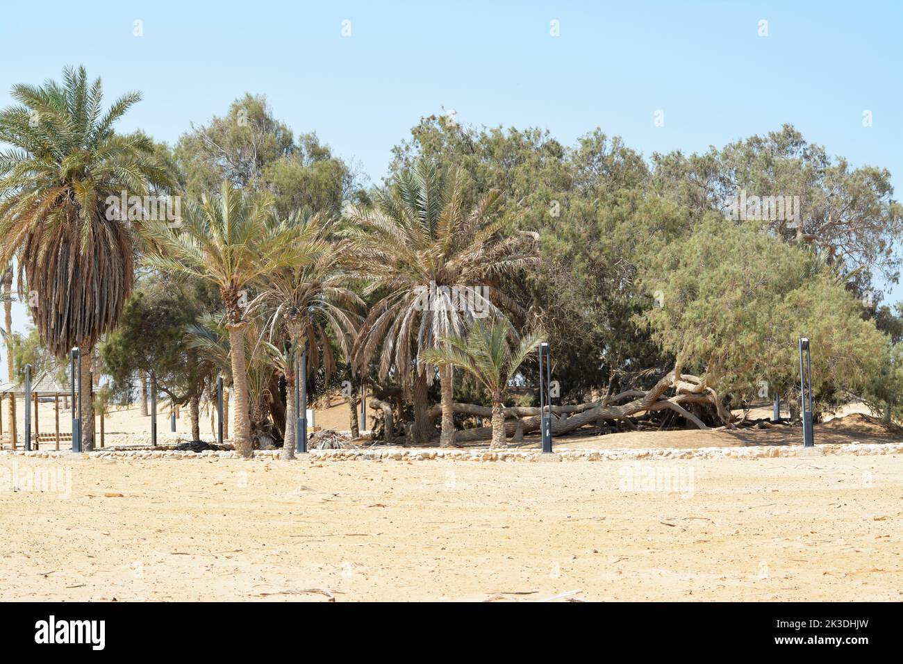 The beautiful Prophet Moses Springs, Water wells and palms in Sinai ...