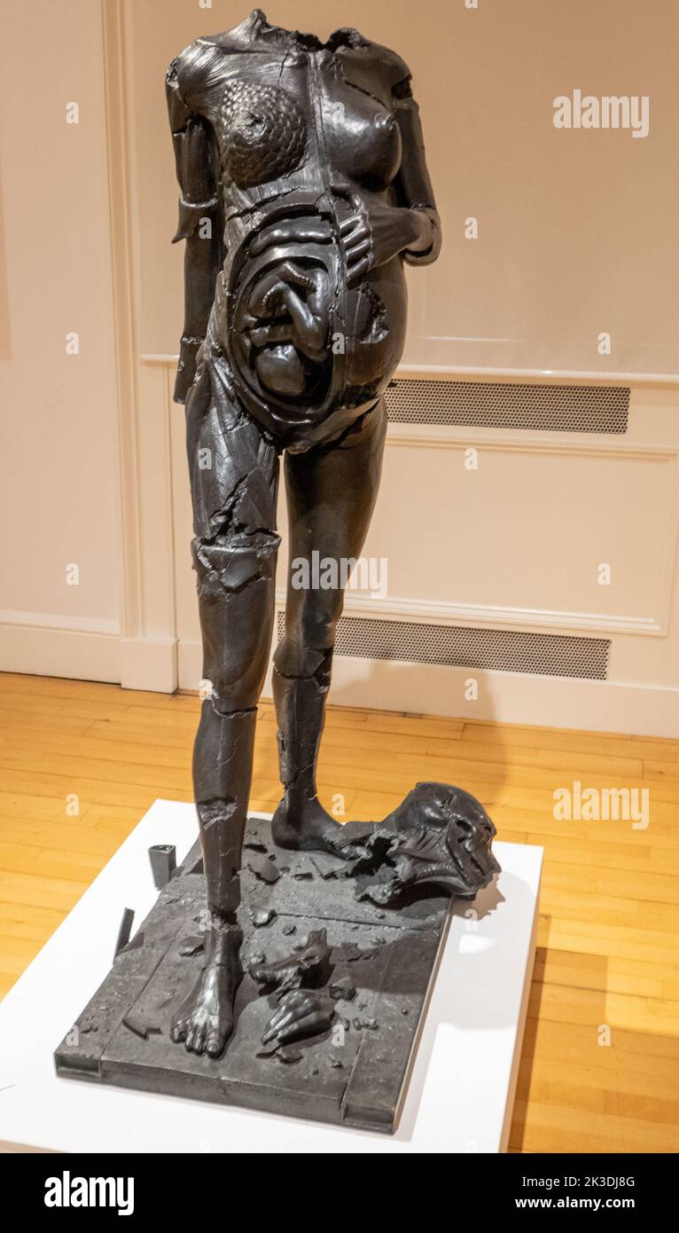 Wretched War of Damien Hirst in Scottish National Gallery of Modern Art ...