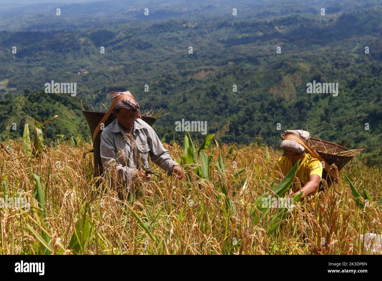 Plot fallow land hi-res stock photography and images - Alamy