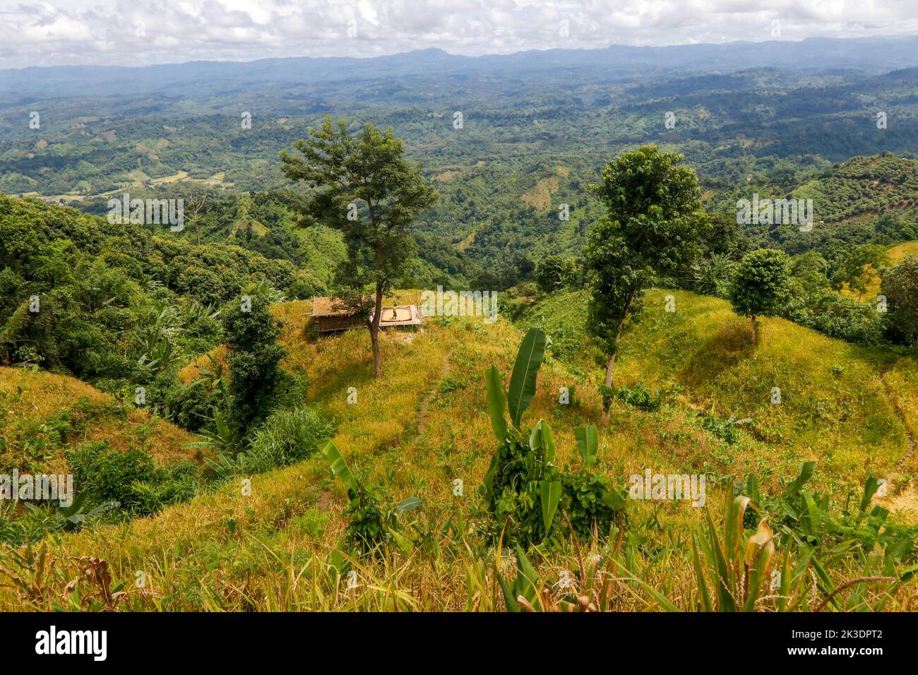 Dhaka, Dhaka, Bangladesh. 26th Sep, 2022. Bangladeshi indigenous ...